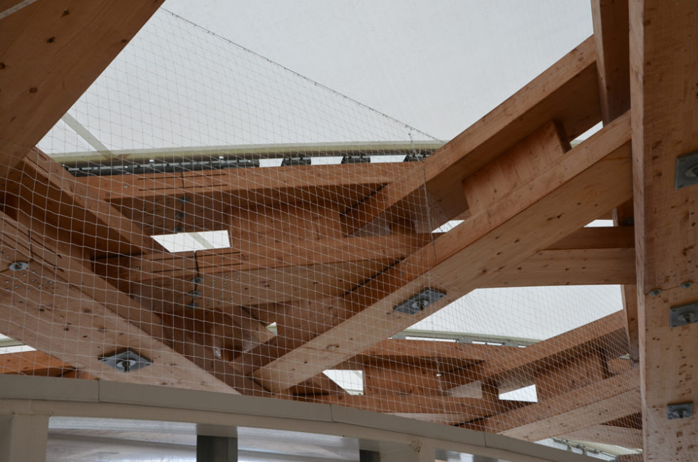 Filets anti pigeons pourquoi les utiliser ? Et comment